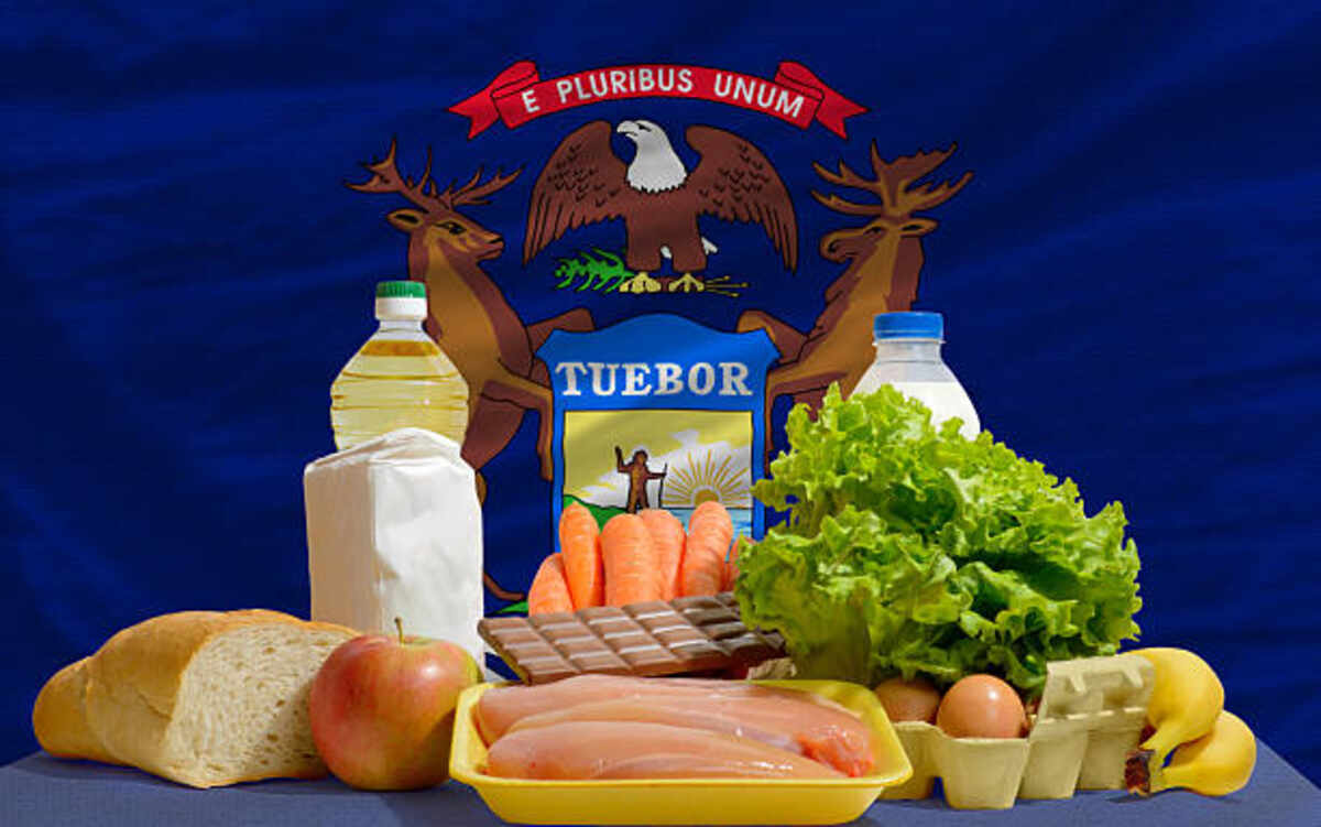 Michigan WIC Food Guide - Newginious